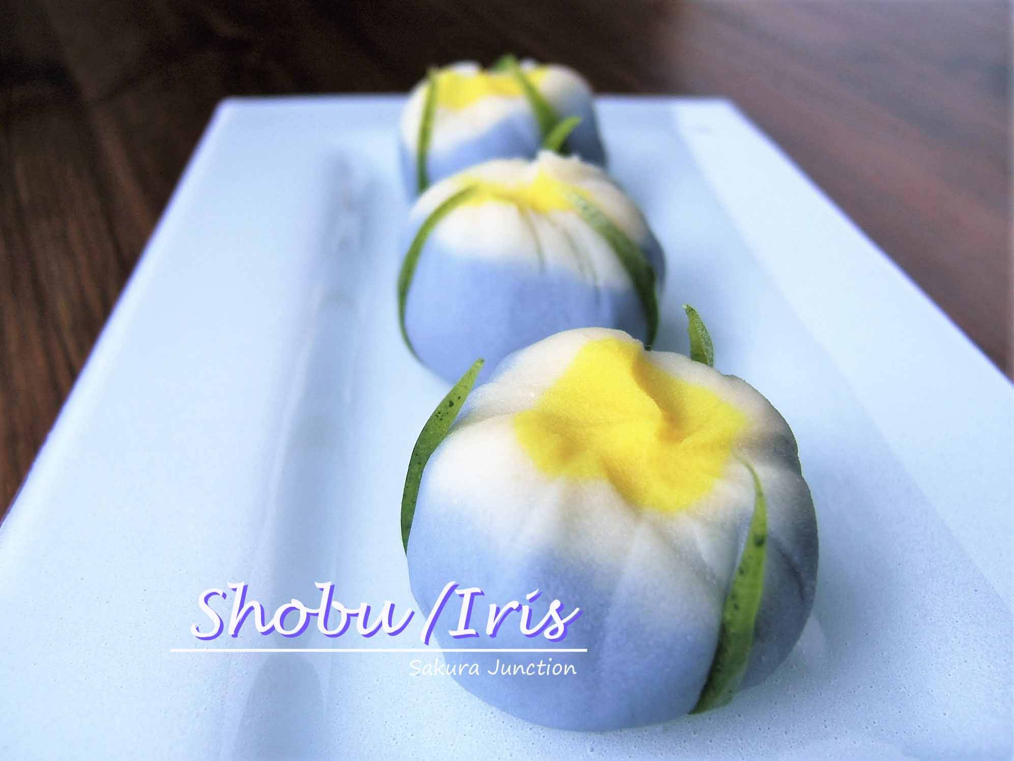 Shobu (菖蒲) / Iris | Sakura Junction