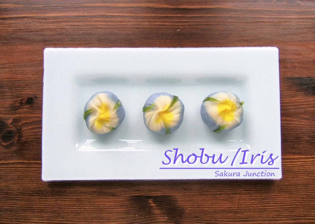 Shobu (菖蒲) / Iris | Sakura Junction