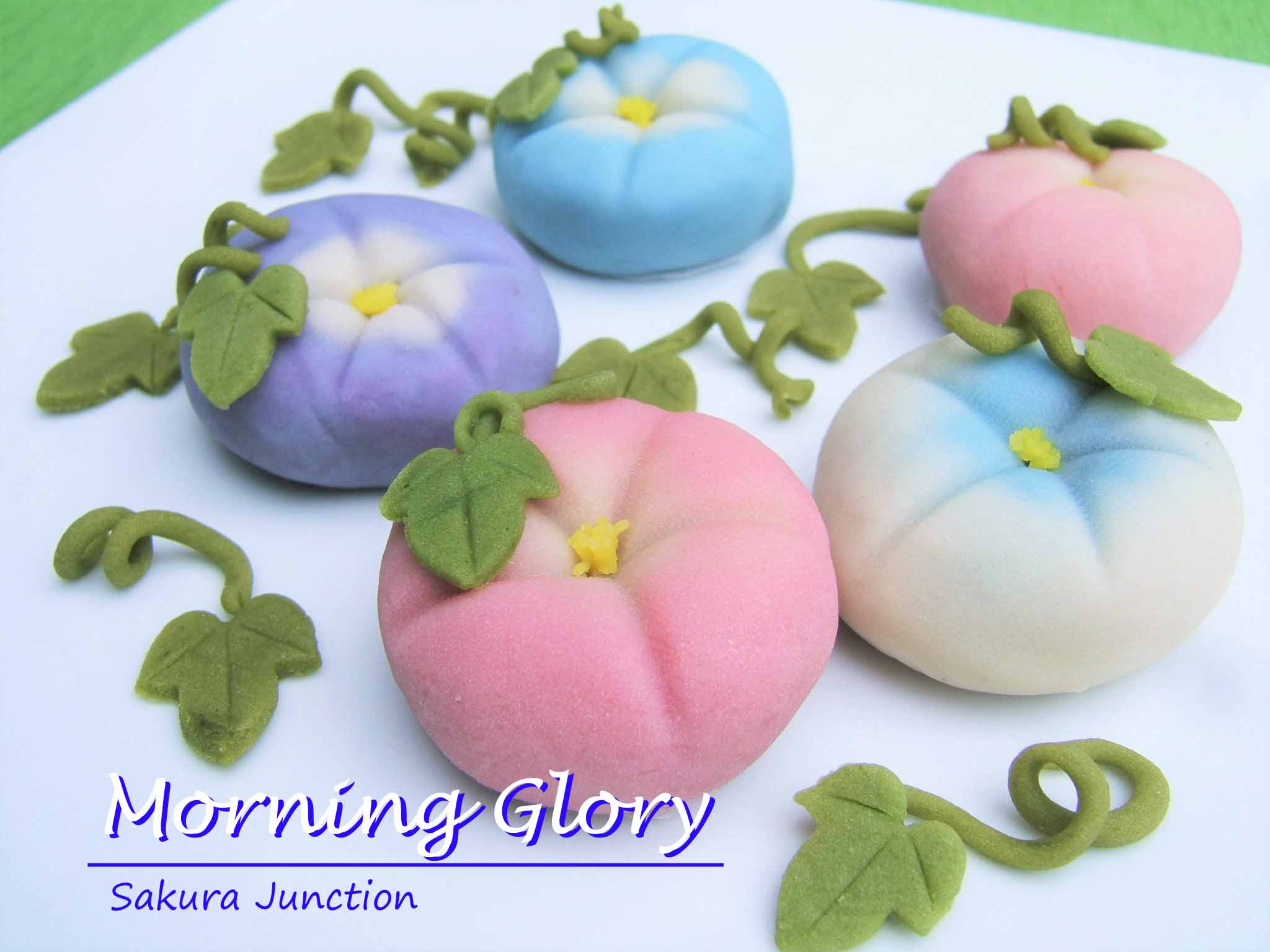 Morning Glory / Asagao 朝顔 | Sakura Junction