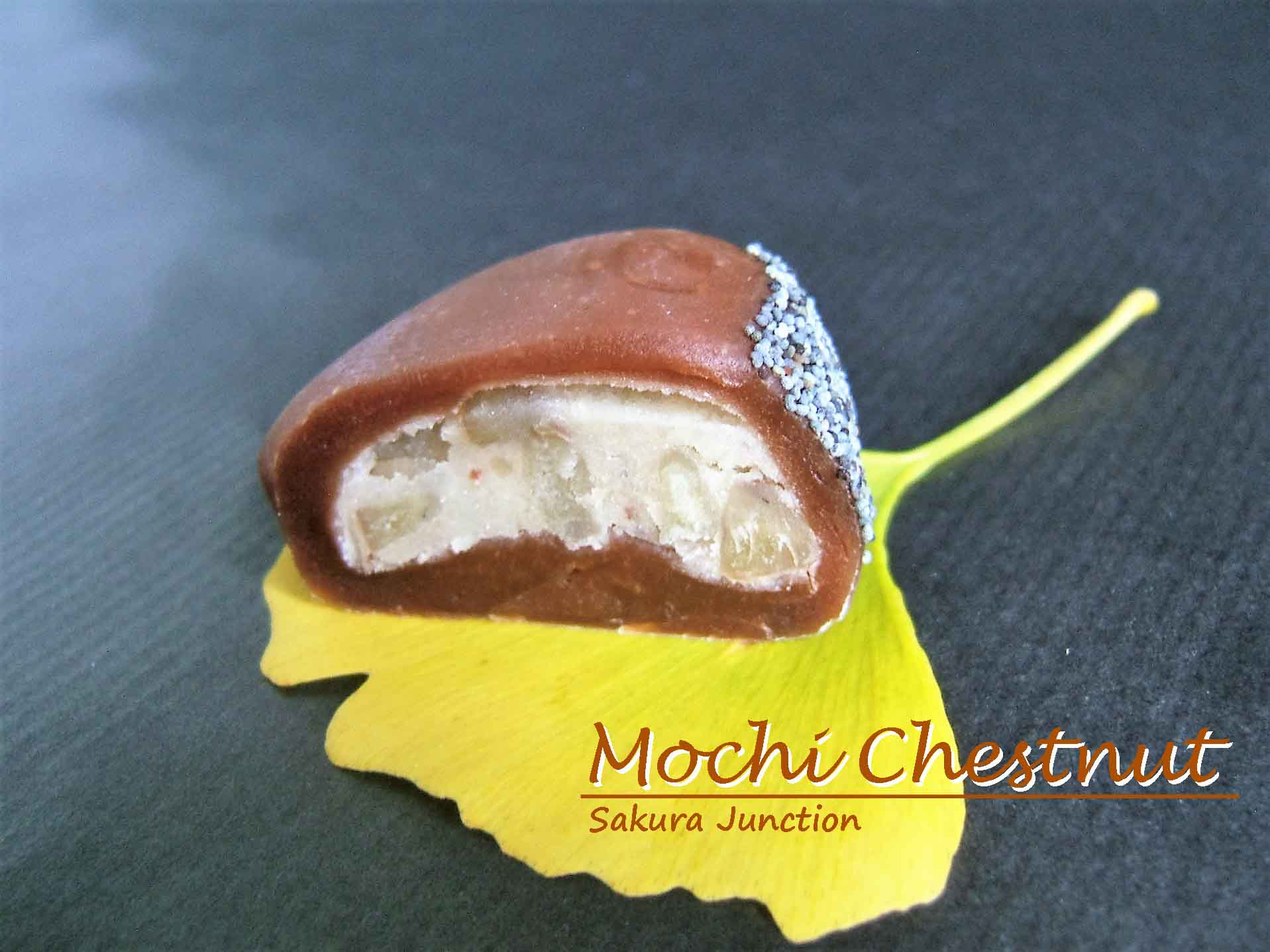 Mochi Sweet Chestnut – The Taste of Autumn | Sakura Junction