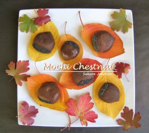 Mochi Sweet Chestnut – The Taste of Autumn | Sakura Junction