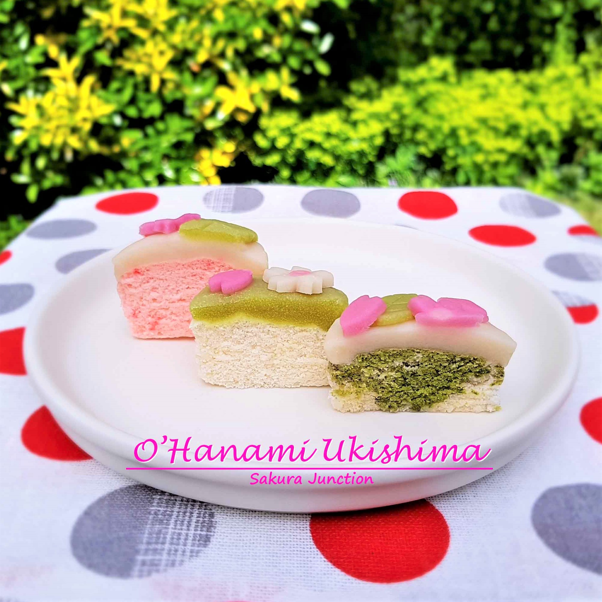 Oh! Hanami 🌸 Ukishima | Sakura Junction