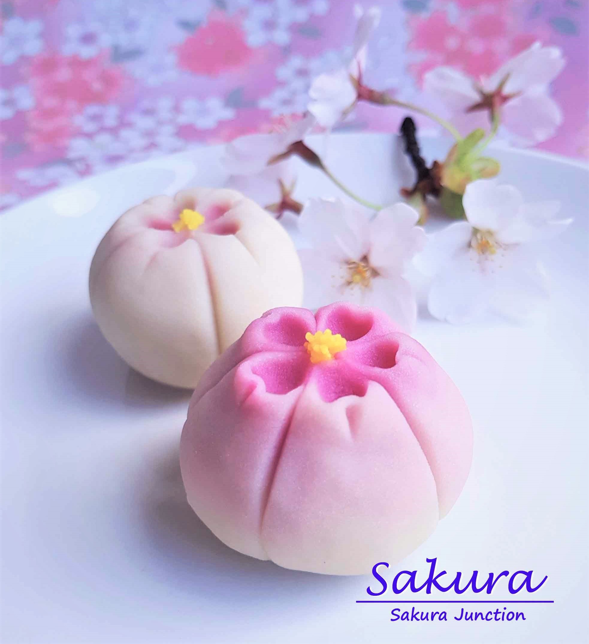 Sakura 2018 | Sakura Junction