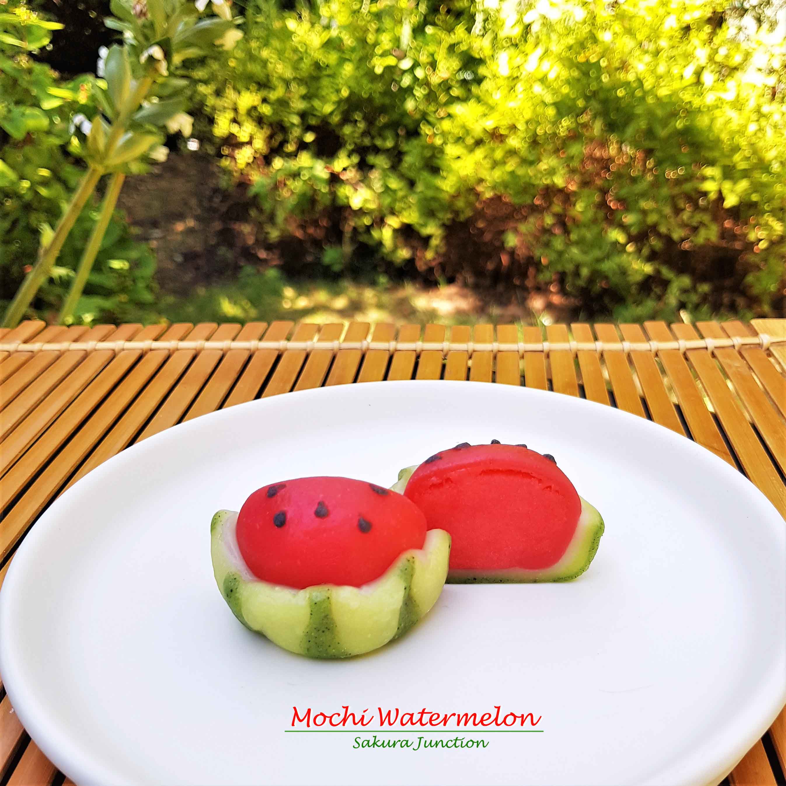 Mochi 🍉Watermelon | Sakura Junction
