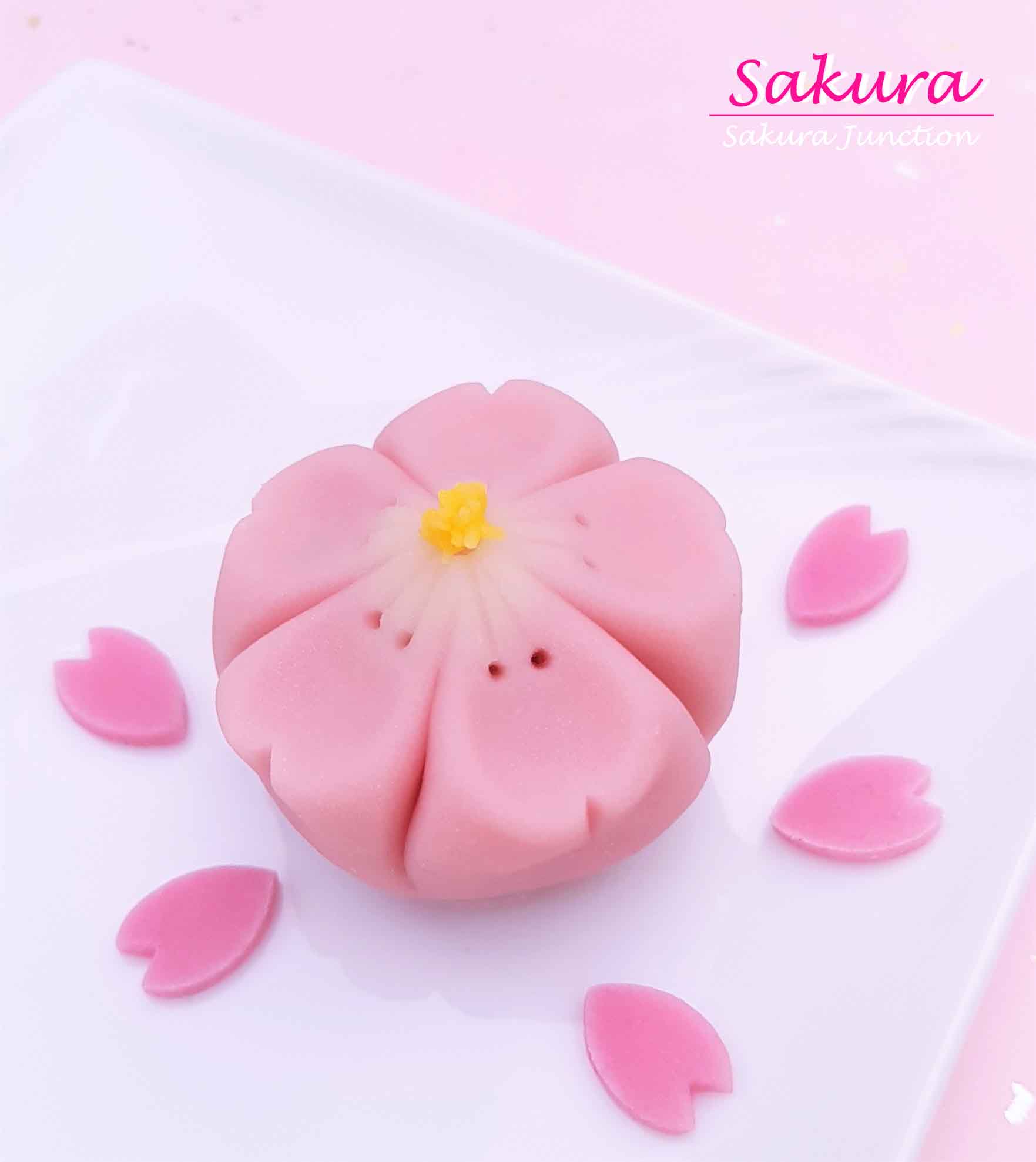 Sakura in Many Ways | Sakura Junction
