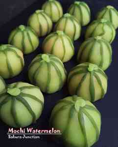 Sakura Junction | Japanese Food and Everything Else